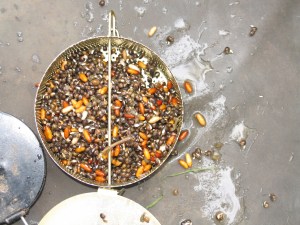 Bait Droppers | The River Angler