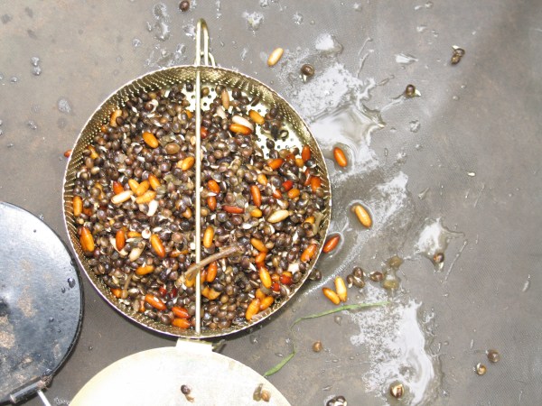 Bait Droppers | The River Angler