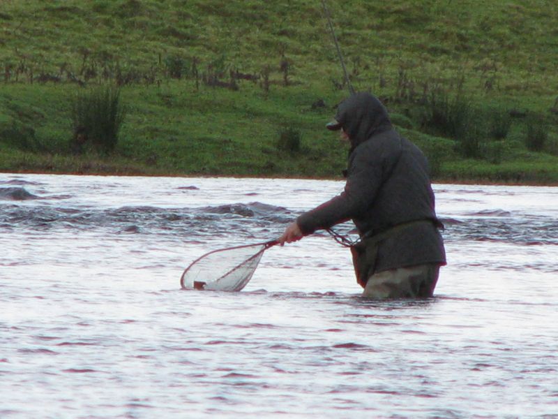 Danny Collins in Action | The River Angler